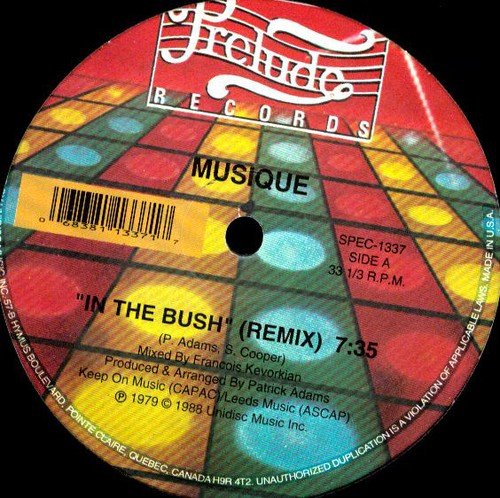 Musique - In the Bush [Vinyl] - Amazon.com Music