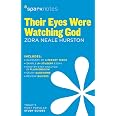 Amazon.com: Their Eyes Were Watching God : Halle Berry, Ruben Santiago ...