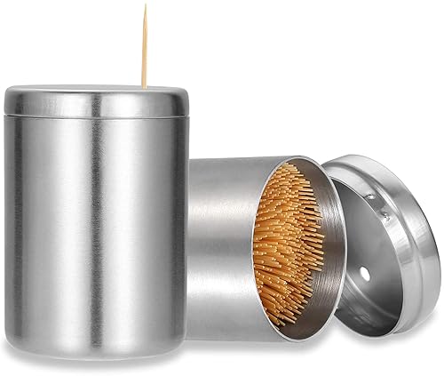 AYCCNH Stainless Steel Toothpick Holder Dispenser, Thickening Tooth ...