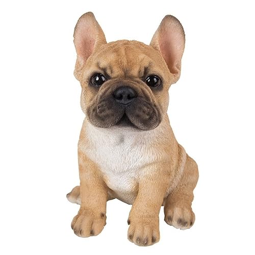 Vivid Arts Pet Pals Golden French Bulldog Puppy: Amazon.co.uk: Kitchen ...