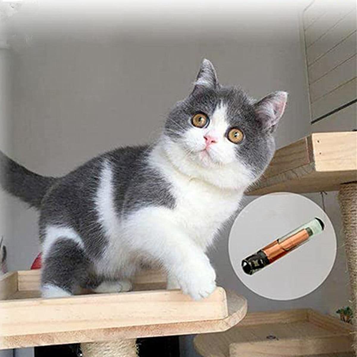 Mua 20Packs 1.25x7mm, Universal Pet Microchip Animals Implant Chip 134 ...