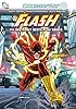 The Flash Vol. 1: The Dastardly Death of the Rogues: Brightest Day in ...