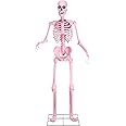 Amazon.com: Pink Animated Giant Skeleton Decoration, 8 Foot Tall Pink ...