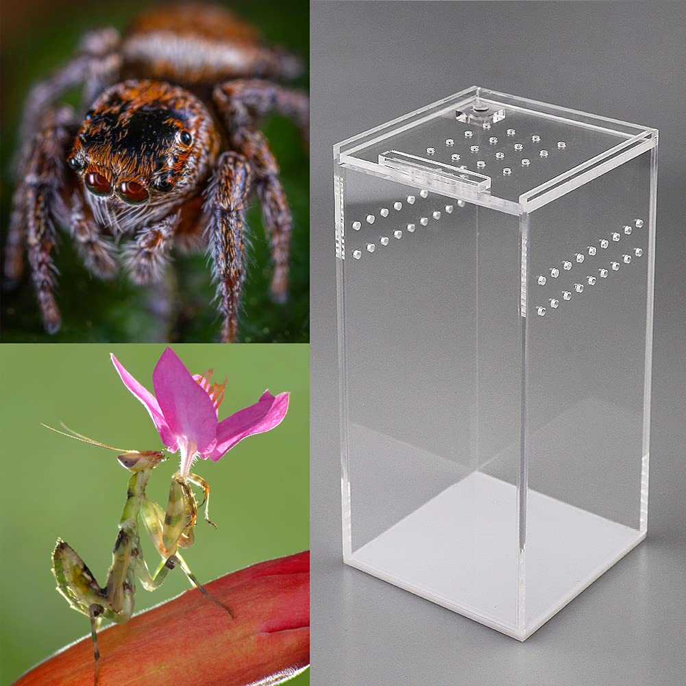 Mua NANEEZOO Magnetic Acrylic Case, 2.9x2.9x6 Inch Nano Arboreal ...