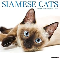 Siamese Cats | 2025 12 x 24 Inch Monthly Square Wall Calendar | Plastic-Free | BrownTrout ...