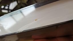 Holy Bible, King James Version: Zondervan: 9780310941781: Amazon.com: Books