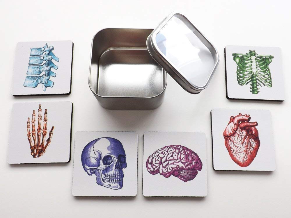 Amazon.com: colorful Anatomy set of 4 or 6 Coasters 3.5 inch human body ...