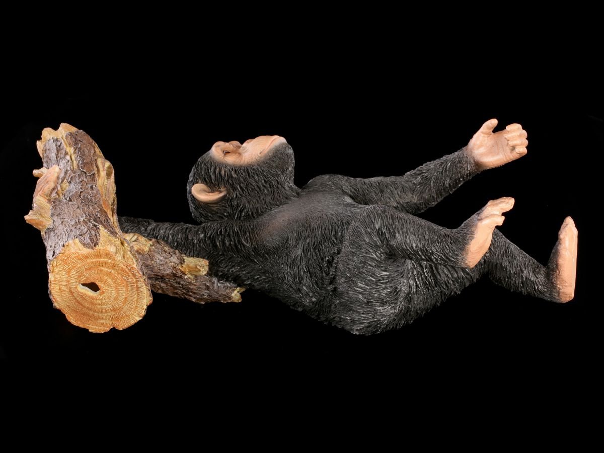 Statue e sculture Figuren Shop GmbH Schimpanse statuetta da giardino ...