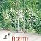 Florette: Walker, Anna, Walker, Anna: 9780544876835: Amazon.com: Books