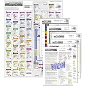 Project Management PM Process Flow & Companion Documents bundle (18" x ...