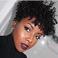 Amazon.com : Ms Taj Afro Kinky Human Hair Wigs for Black Women ...