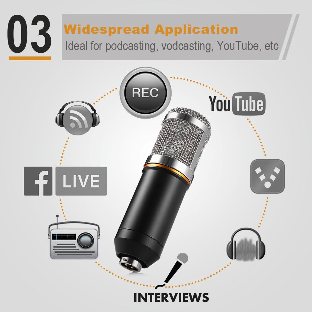 ZINGYOU BM-800 Condenser Microphone, Cardioid Studio Recording ...