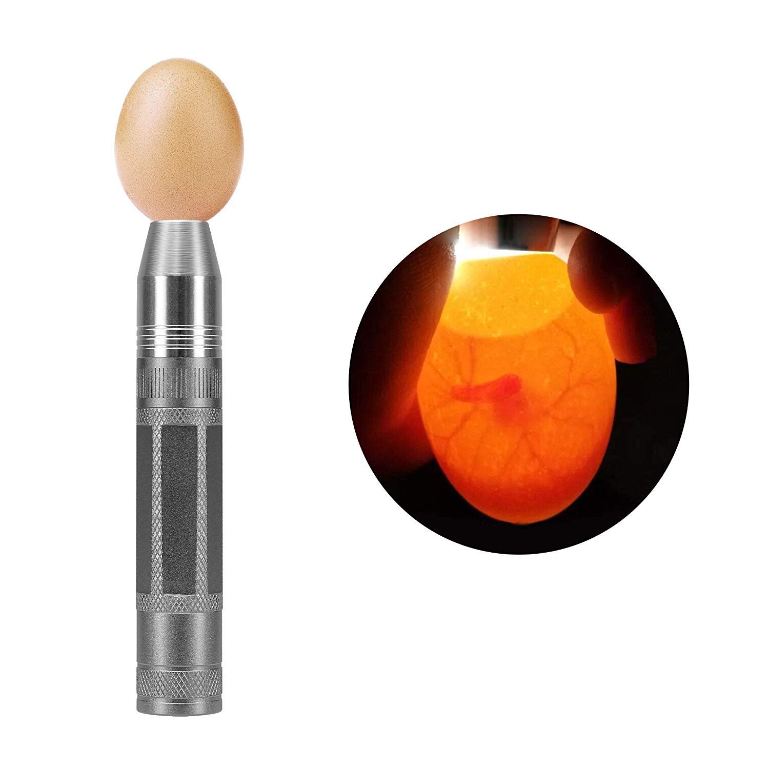 Egg Candler, LifeBasis Wireless Egg Candling Torch Battery-operated Egg ...