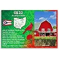 Amazon.com : OHIO STATE FACTS postcard set of 20 identical postcards ...