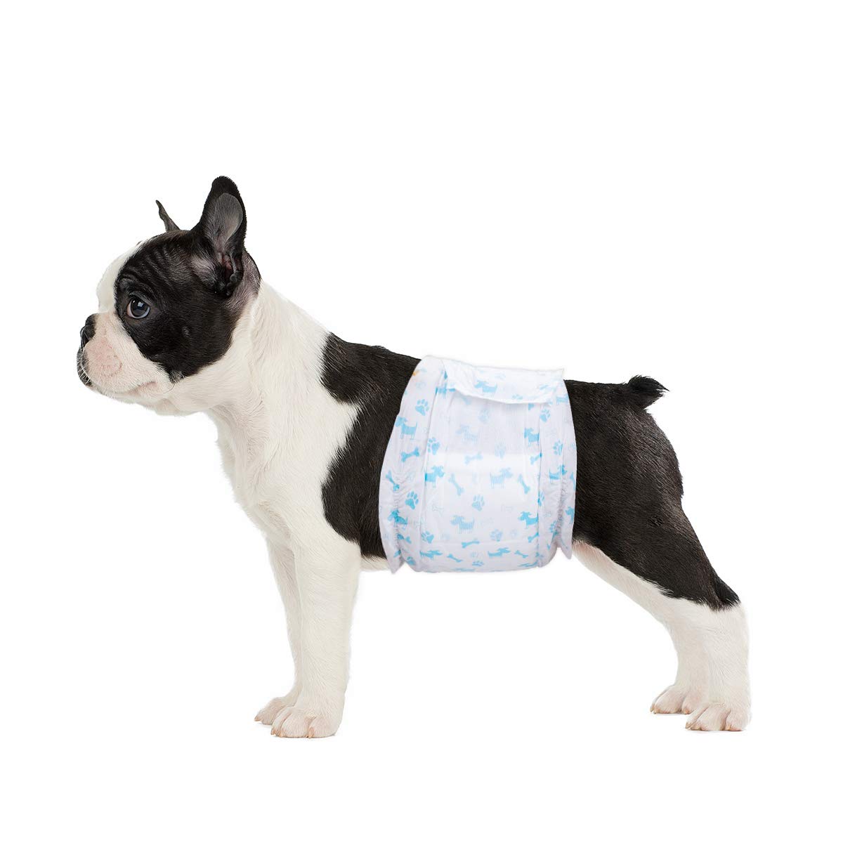 Flying Paws Male Dog Diapers - Absorbent Male Dog Wraps Belly Bands for ...