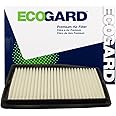Amazon.com: ECOGARD XA10187 Premium Engine Air Filter Fits 2013-2015 ...