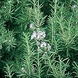 BEST NURSES GRADUATION PARTY IDEAS