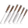 Amazon.com: BGT Japanese 67 Layer High Grade VG-10 Super Damascus Steel ...