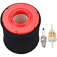 Amazon.com: Hipa 937-05066 Air Filter for MTD 547cc OHV 737-05066 Cub ...