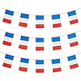 Amazon.com : France Flags French Small String Mini Flag Pennant Banner ...