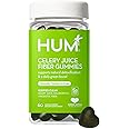 Amazon.com: HUM Celery Juice Fiber Gummies The First Prebiotic Celery ...