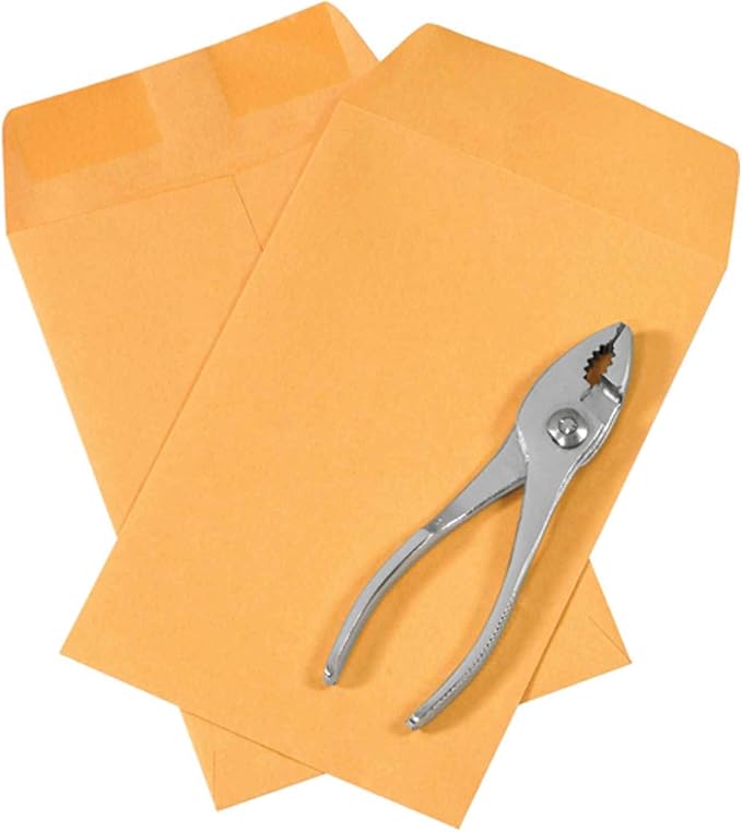 Amazon.com : Kraft Gummed Envelopes, 6" x 9", 2500 Pack, EN1020 ...