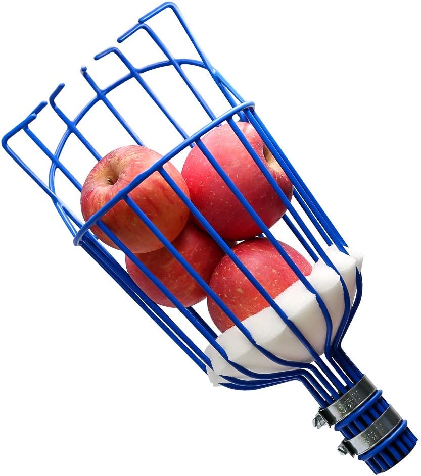 Amazon.com : SANLIKE Fruit Picker Basket Head for Apple Avocado Lemon ...