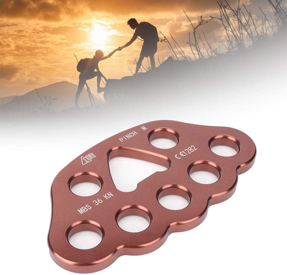 Amazon.com : Fictory Rigging Plate - 8 Holes Multi Anchor Point ...