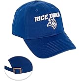 Amazon.com: Desert Cactus Brown University Baseball Hat Bears Brimmed ...