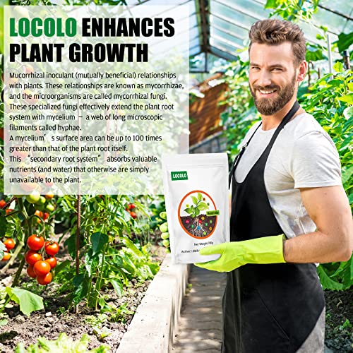 Mycorrhizal Fungi Mycorrhizal Inoculant for Plants All Purpose ...