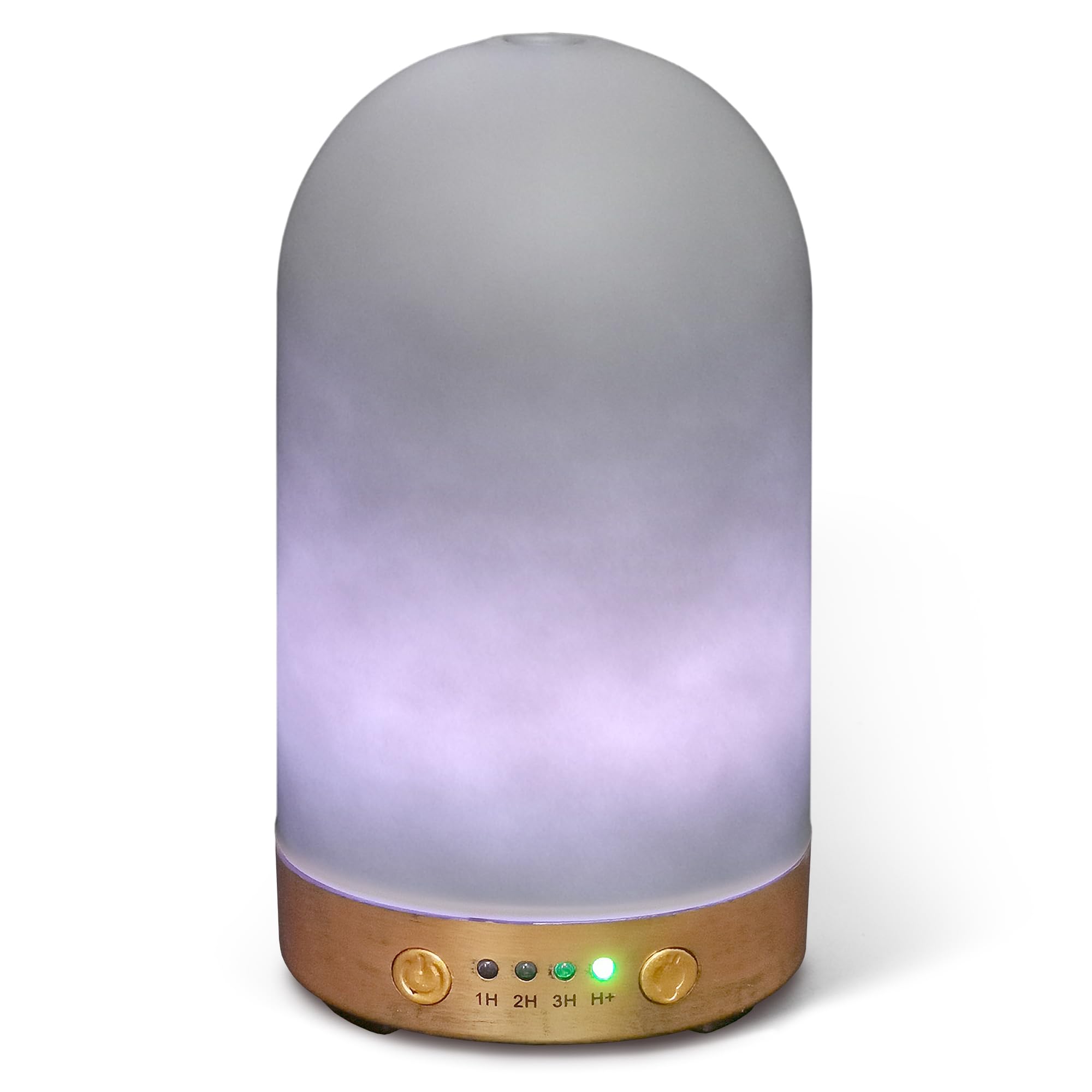 Earnest Living Essential Oil Diffusers for Essential Oils 100 ml ...