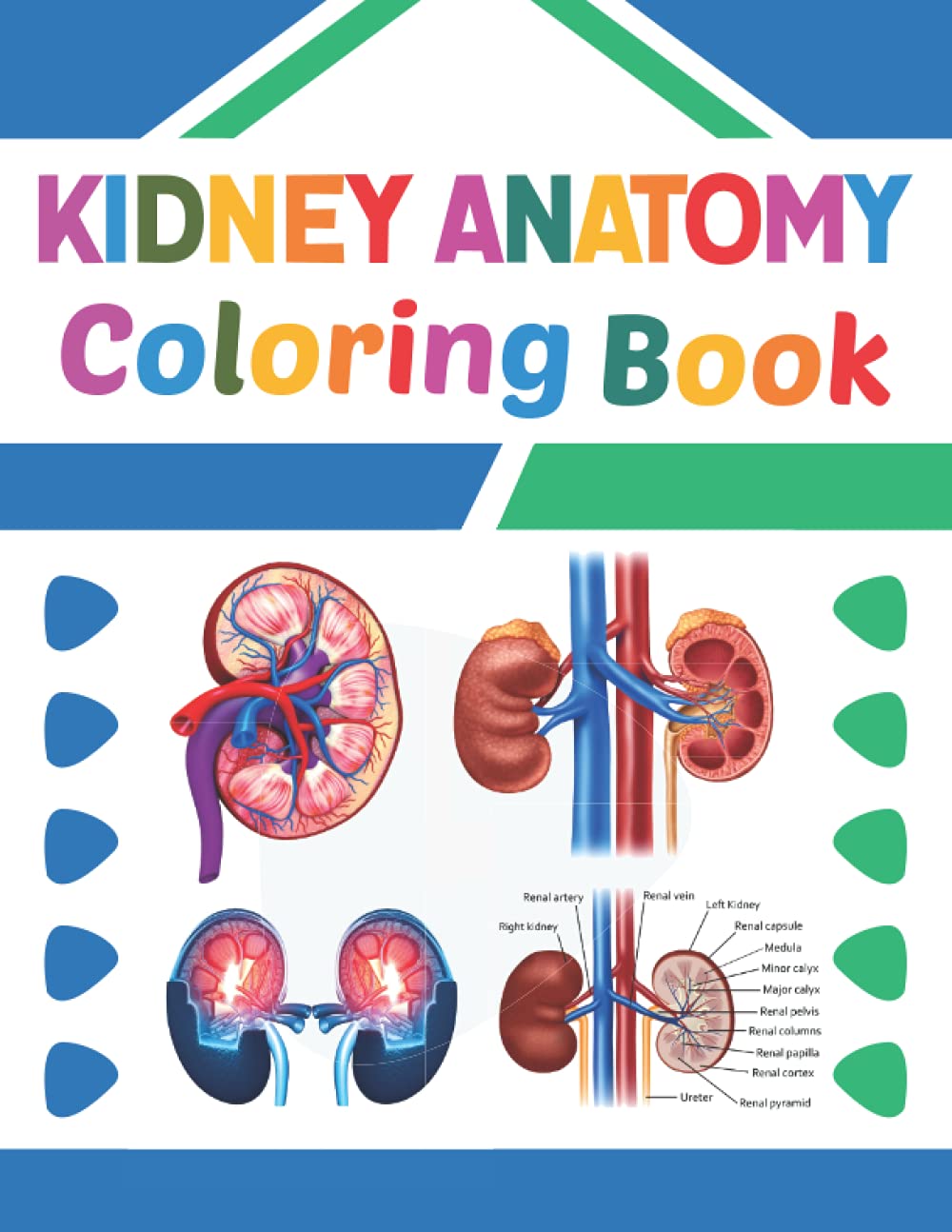 Mua Kidney Anatomy Coloring Book: Human Kidney Anatomy Student's Self ...