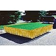 Amazon.com: Anderson's Green and Gold Metallic Parade Float Decoration ...