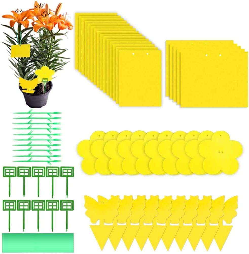 Evance 80 Pack Yellow Sticky Traps, Dual-Sided Fly Paper Stickers for ...