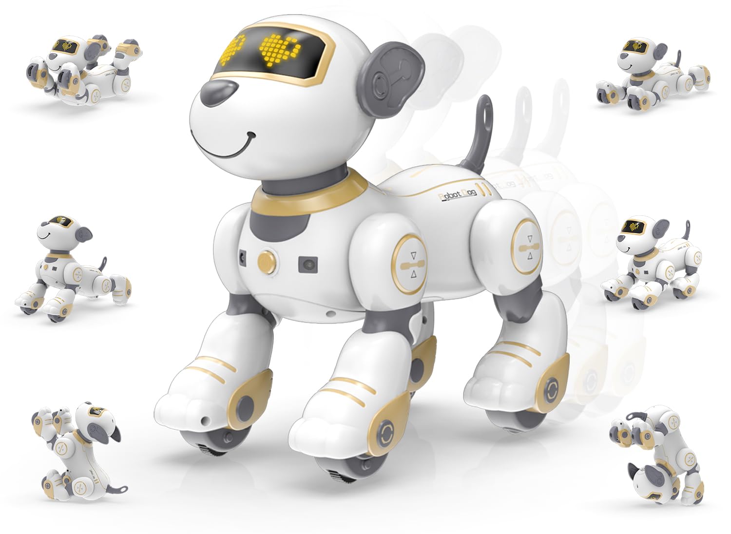 cat | Nellis Auction