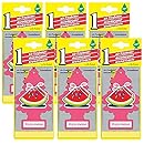 Amazon.com: Little Trees Watermelon Scent Air Freshener (6 Pack ...
