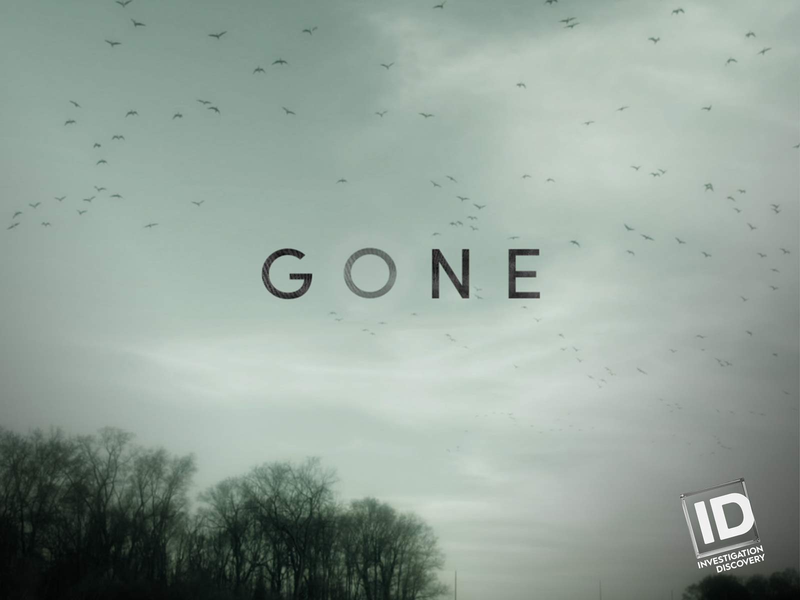 Watch Gone - Season 1 | Prime Video