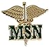 Amazon.com: NursingPin - Masters of Science in Nursing MSN Graduation ...