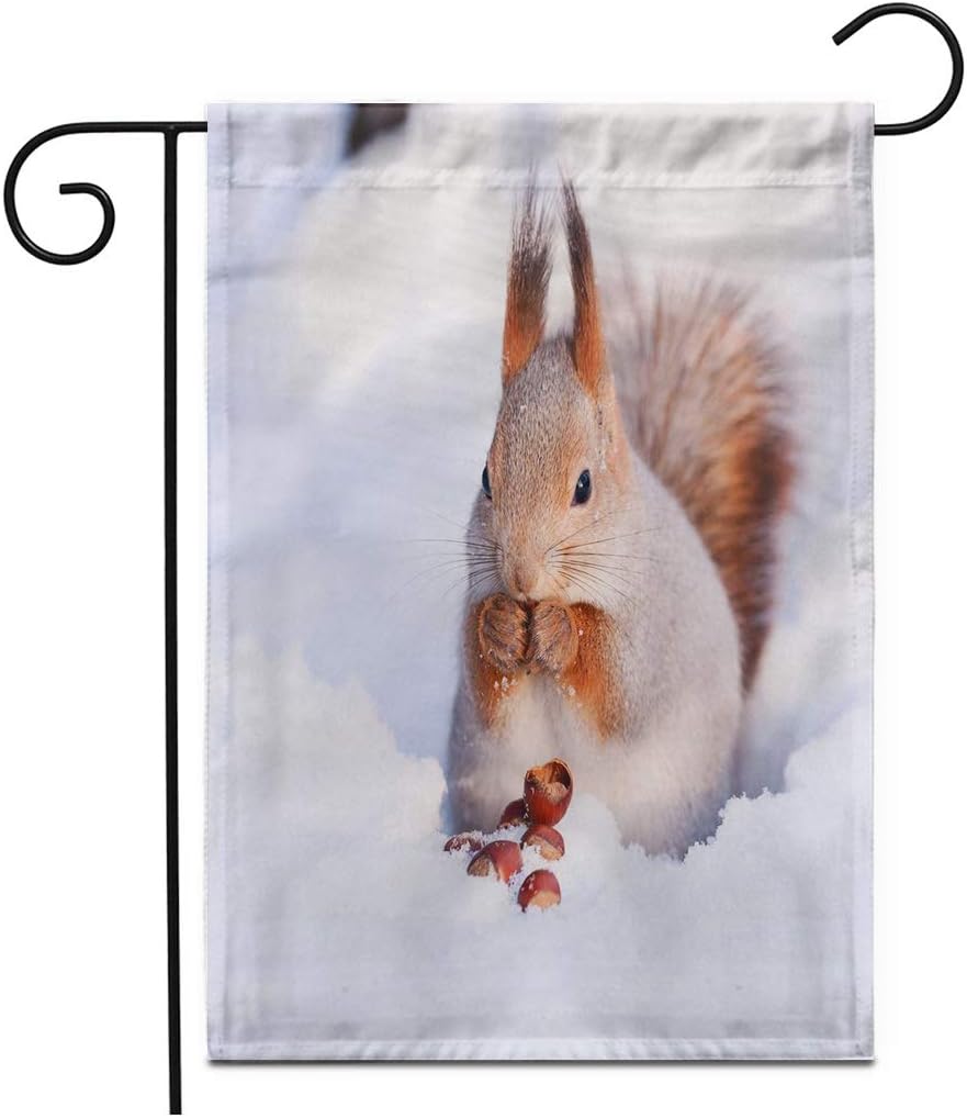 Amazon.com : Adowyee 12"x 18" Garden Flag Squirrel on The Snowsquirrel ...