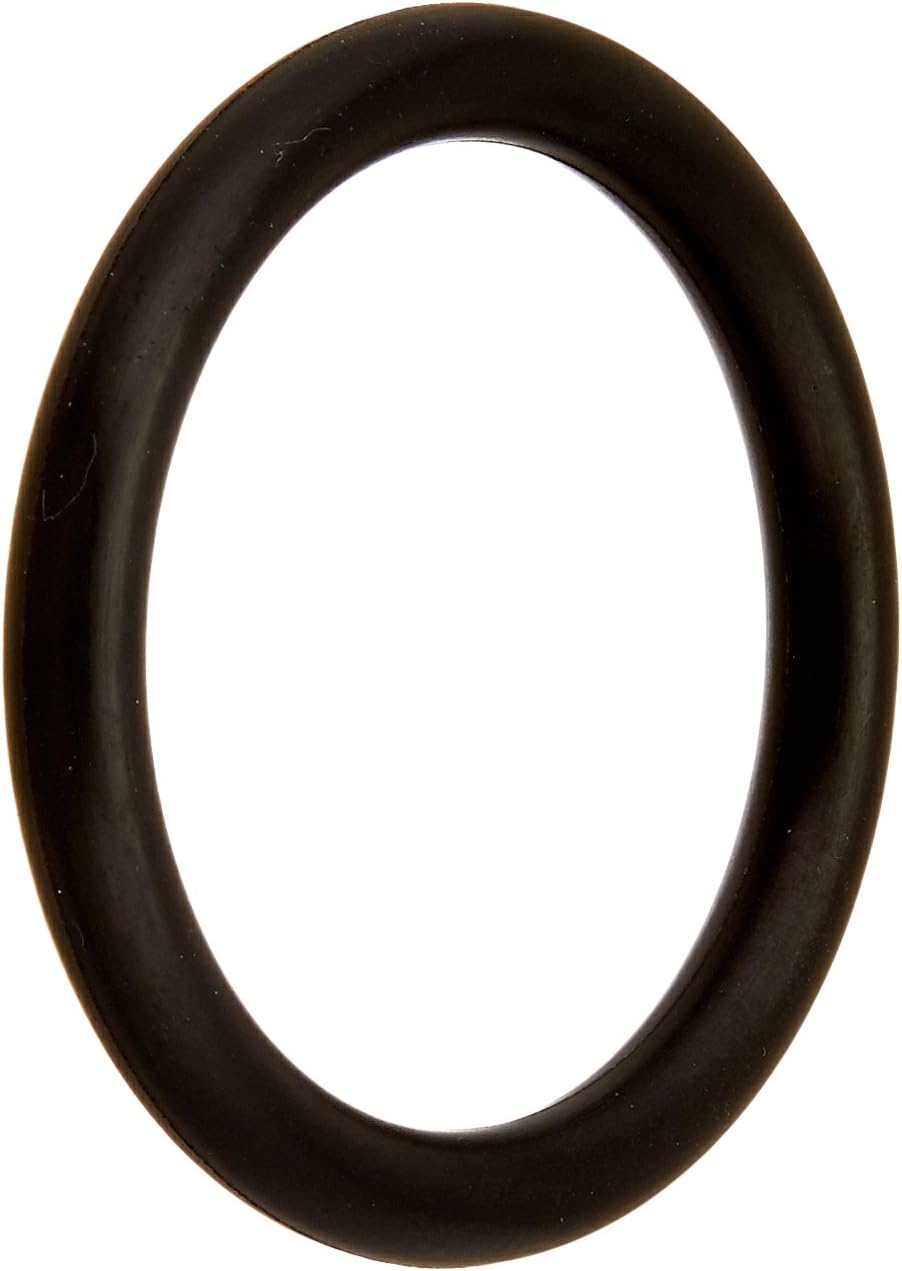 Pentair 51005000 Drain Plug O-Ring Replacement Pool/Spa Filter and ...