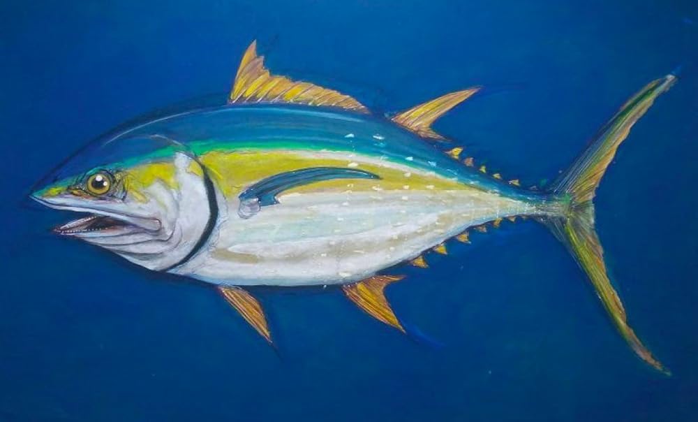 Estudio de Pez Atun #1: Amazon.com.mx: Handmade