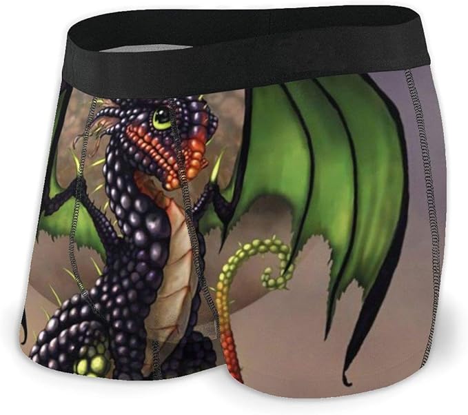 LAOLUCKY Fantasy Dragon Mythical Monster Men's Boxer Briefs All-Over ...