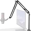 InnoGear Desk Mic Stand, 360° Rotatable Overhead Mic Boom Arm ...