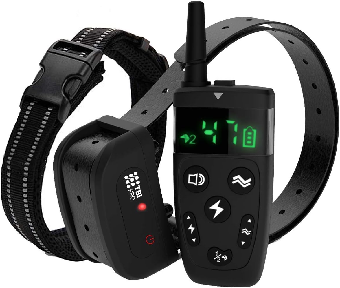 10 Best Electric Collars For Dogs Feb 2021 Buyer s Guide