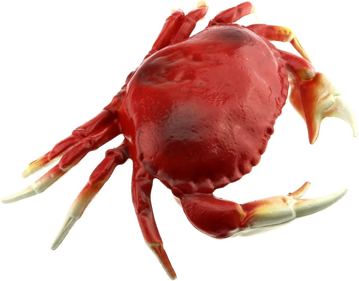 Gresorth 13 x 9 inch Incredible Large Crab Decoration Fake Sea ...