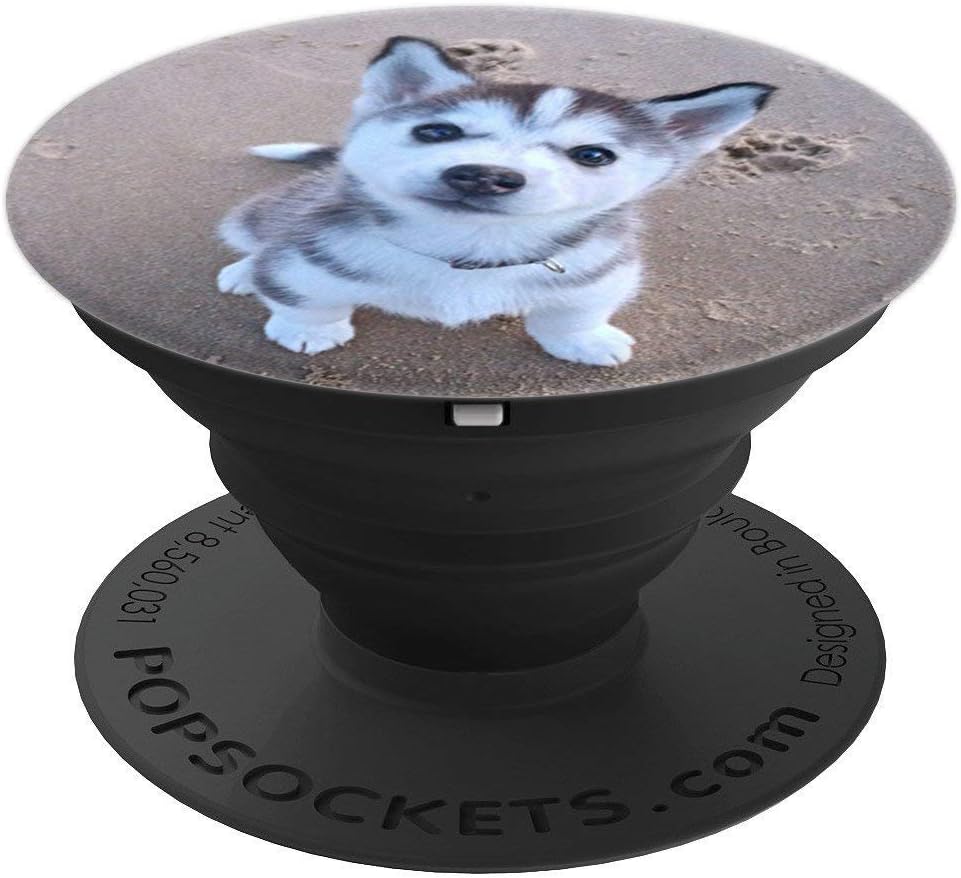 Amazon.com: Photo Dog Alaskan Baby Husky Print Pop Mount Socket ...