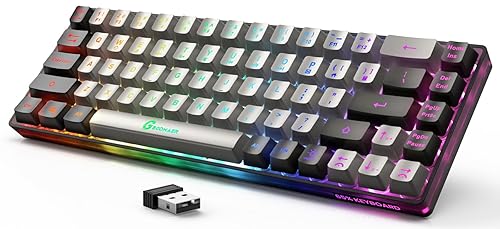 65% Wireless Gaming Keyboard, Rechargeable, LED Backlit, Plug-and-Play ...