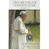 Laudato Si': On Care for Our Common Home: Francis, Pope, Church ...