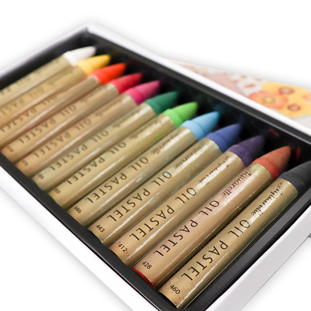 Mua HA SHI Water Soluble Oil Crayons For Artists 12 Color, Watercolor ...