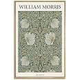 Amazon.com: NARIA ART William Morris Framed Canvas Prints Wall Art ...